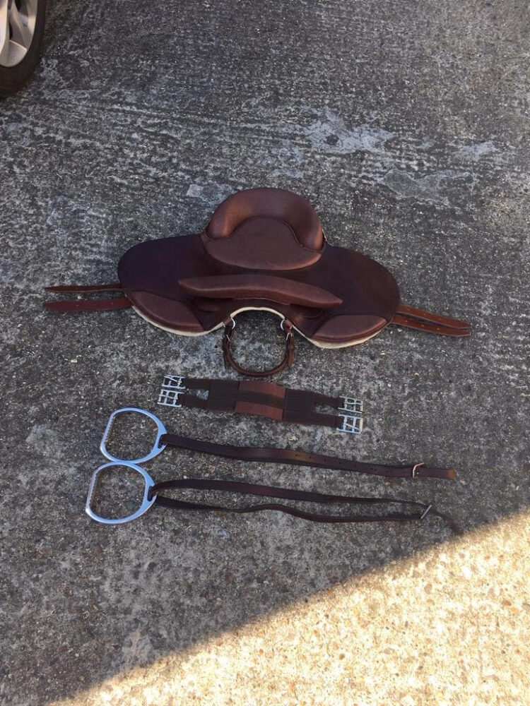 Cwell Equine Leather TREELESS FELT PADDED Shetland Pony CUB SADDLE ...